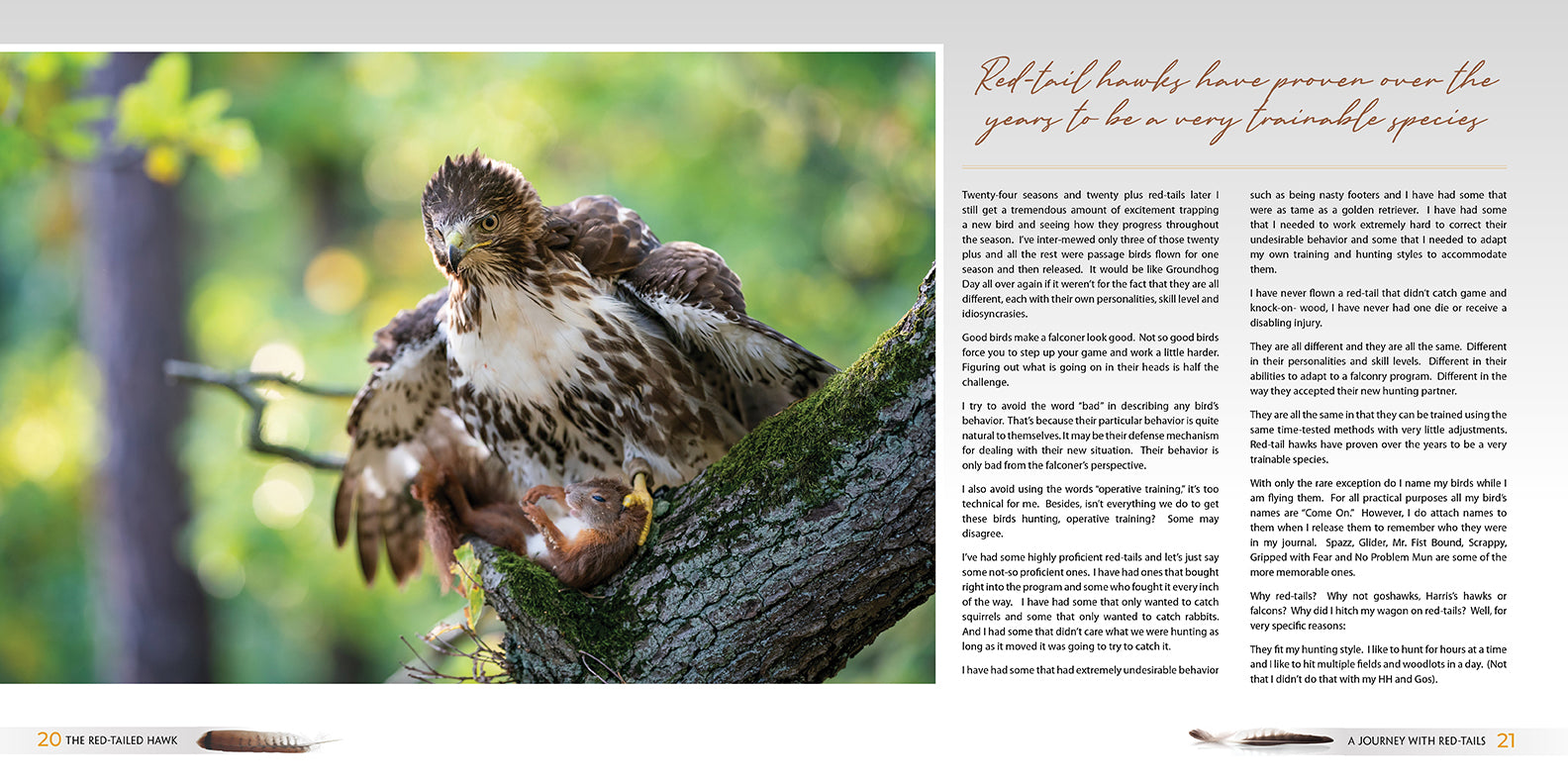 Book Showcase – A Journey with Red-tails