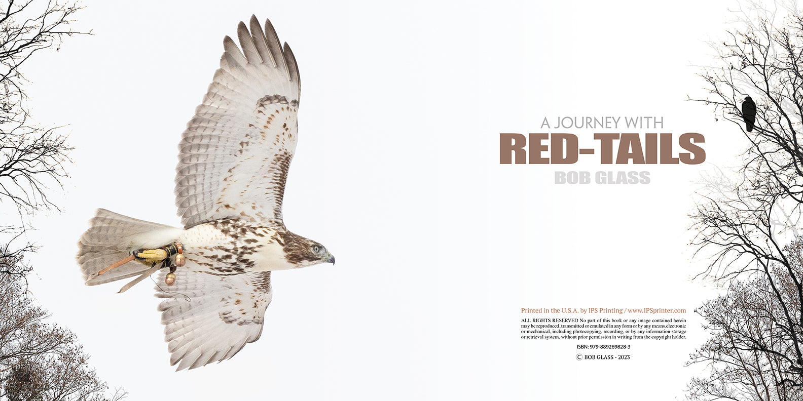 Book Showcase – A Journey with Red-tails